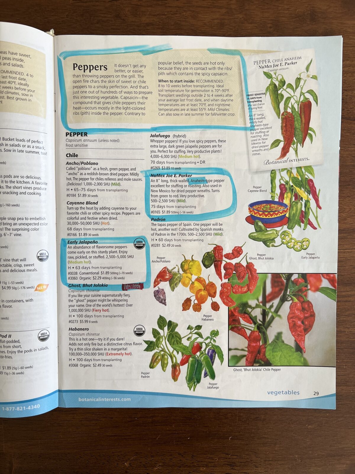 Seed Catalogs as a Learning Tool – Seasons In A School Garden