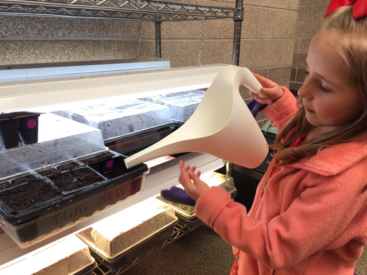 Essential Seed Starting Equipment – Seasons In A School Garden