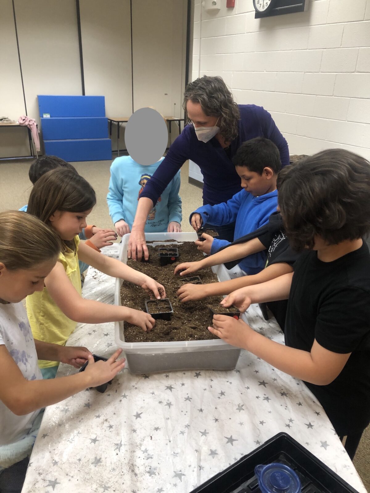 Planting Seeds with Students – Seasons In A School Garden