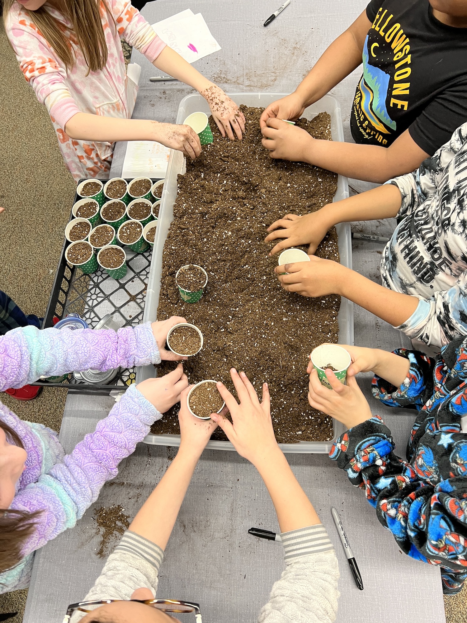 Planting Seeds with Students – Seasons In A School Garden