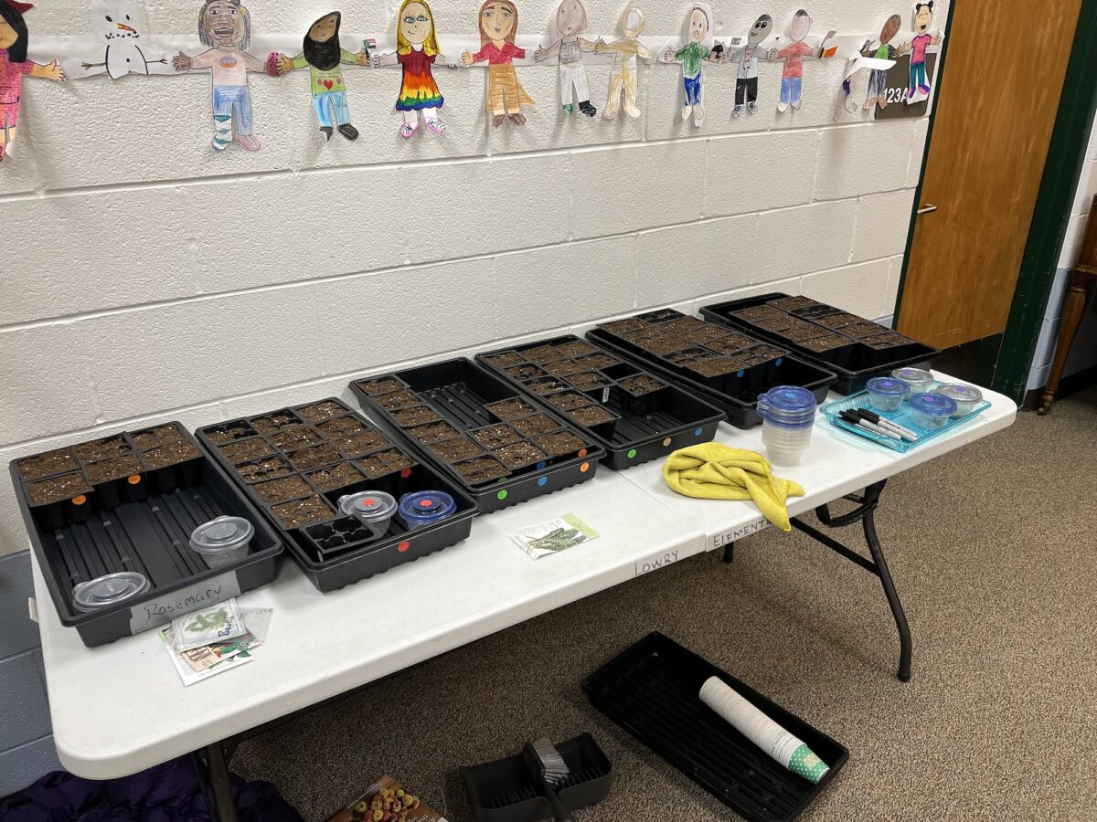 Planting Seeds with Students – Seasons In A School Garden