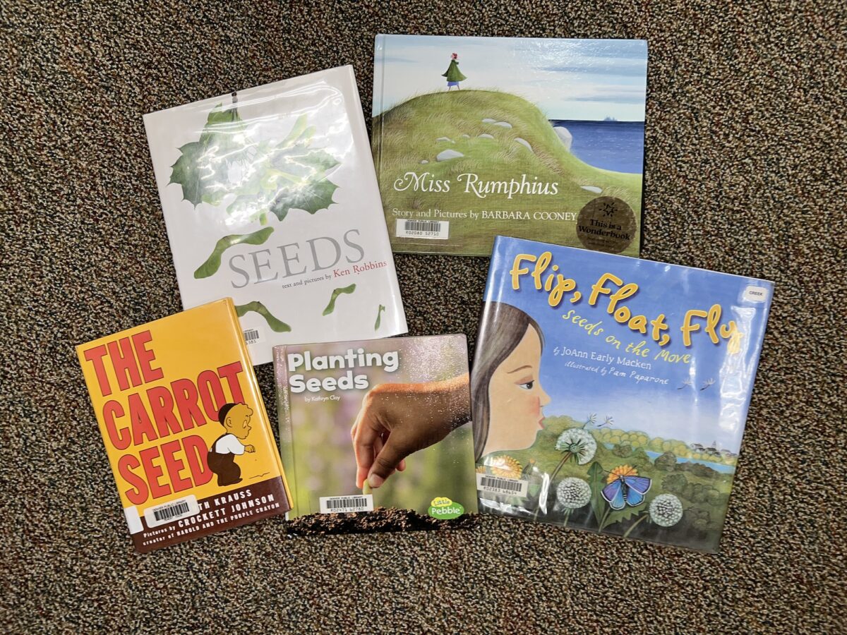 Seed Exploration and Curriculum Connections – Seasons In A School Garden