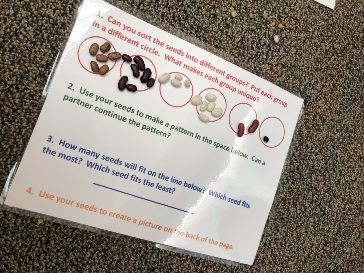 Seed Exploration and Curriculum Connections – Seasons In A School Garden